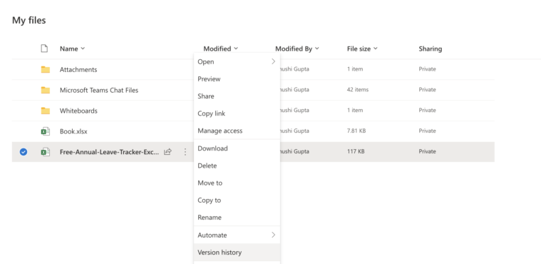 How To Set Up Notifications in Excel - Vacation Tracker