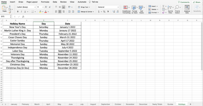 How To Manage Holiday Schedules in Excel - Vacation Tracker
