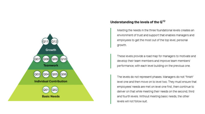 Unlocking Employee Engagement: How the Gallup Q12 Survey Can Help ...